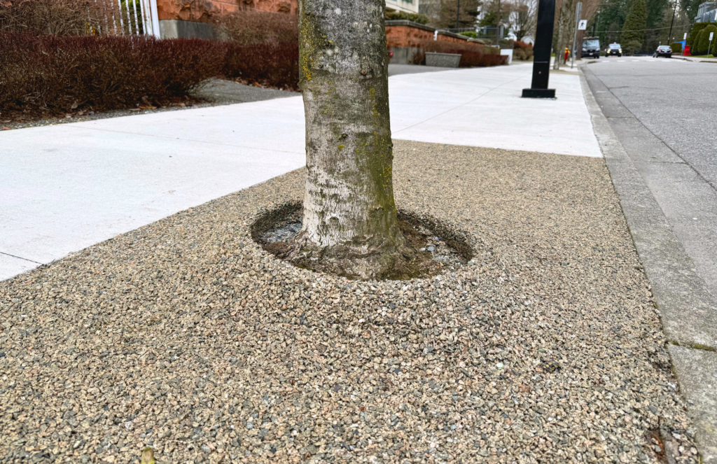 Case Studies | ROMEX Hardscapes