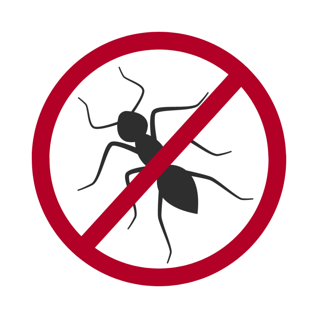 ROMEX® Easy | DIY Resin Sand for Stone Patios and Pathways